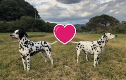 会員の部屋！ No.3 | 岡山県女子体育連盟ODLN